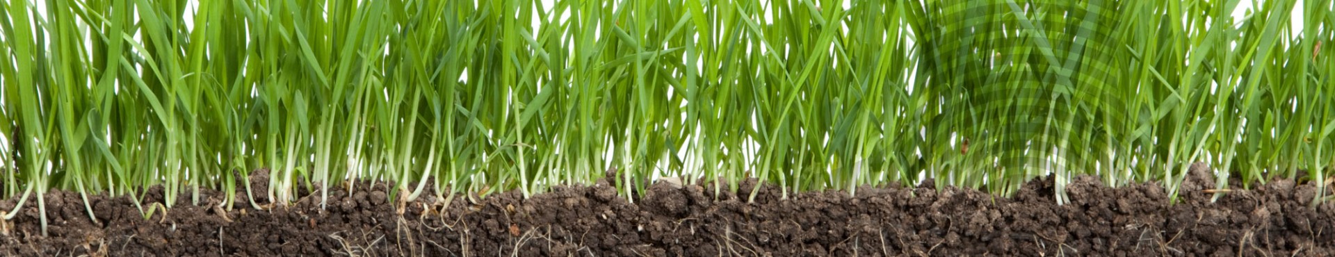 Nutrients for hydroponics - BAC Online