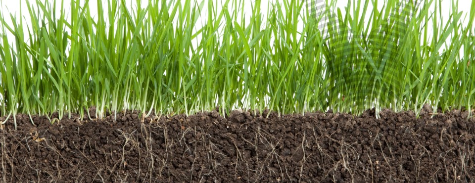 Nutrients for hydroponics - BAC Online